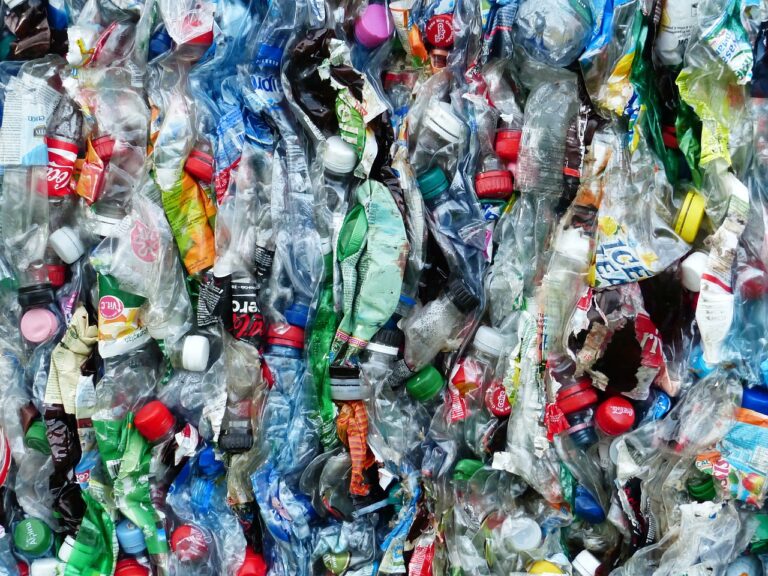 Le bioplastique est-il vraiment écologique, biodégradable